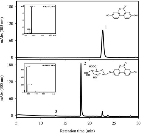 Hplc Profiles 305 Nm Structure And Mass Spectral Properties Of Download Scientific Diagram