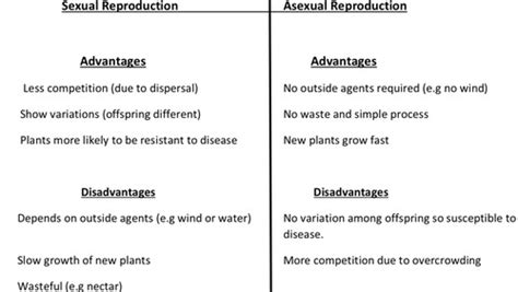 vegetative propagation flashcards quizlet