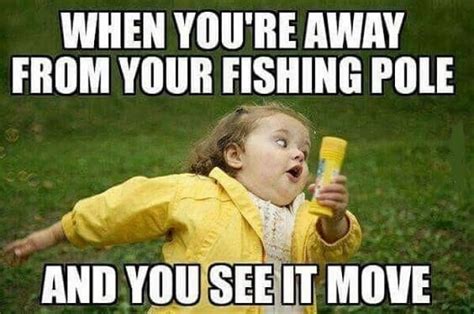 30 Funny Fishing Memes For Guaranteed Giggle Sheideas