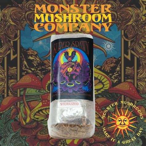 Grow Shroom Grow Lb Sterilized Mushroom Grain Spawn