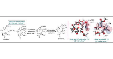 Biosynthesis Of Providencin Understanding Photochemical Cyclobutane Formation With Density