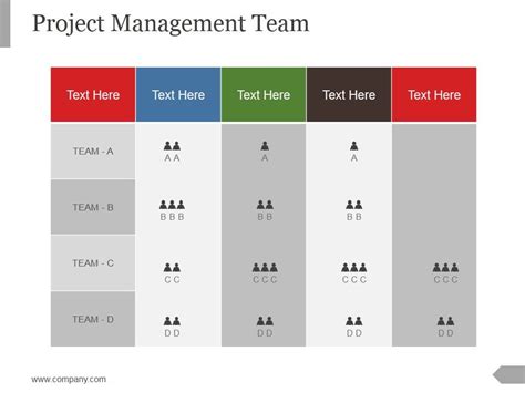 Project Management Team Ppt Powerpoint Presentation Background Designs