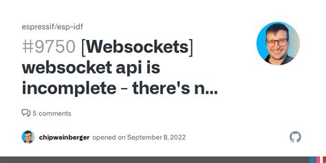 Websockets Websocket Api Is Incomplete Theres No Way To Refuse A Websocket Request Idfgh