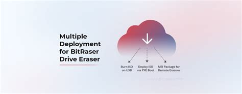Multiple Deployment Options For Bitraser Drive Eraser Software