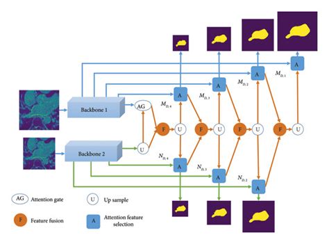 Multiresolution Mutual Assistance Network For Cardiac Magnetic Resonance Images Segmentation