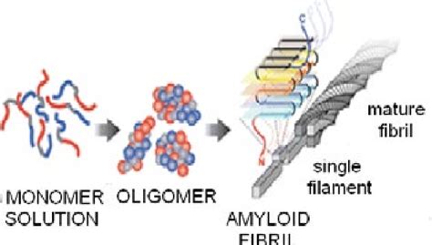The Simplified Scheme Of Autochthonous Structured Fibril Self