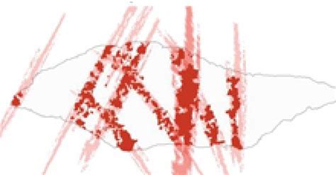 If 사이언스 샷 인류 최초의 그림은 빨간색 해시태그