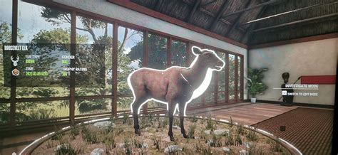 Rate My Diamond Roosevelt Elk Rthehunter