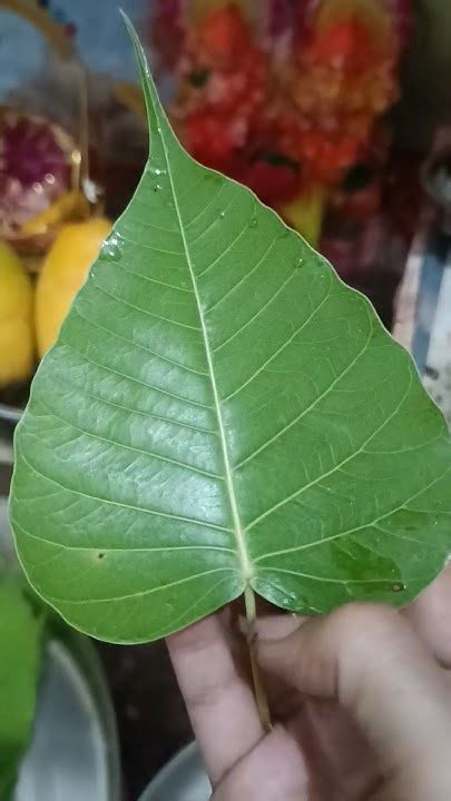 25 अगस्त को बहुत ही दुर्लभ सयोंग बन रहा गणेश जी पर करे ये उपाय