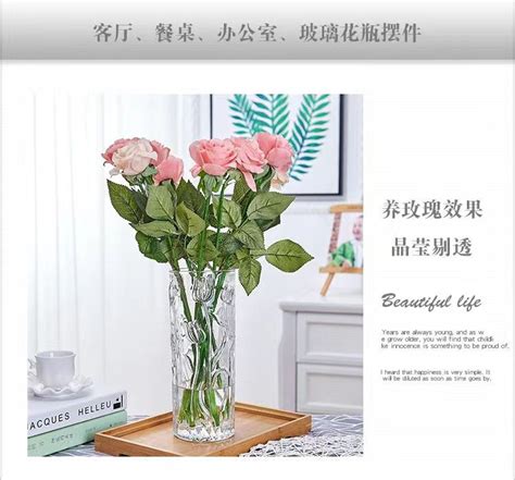 🌸限時折扣🔥【新款上市】透明花瓶 花器 客廳大號富貴竹花瓶擺件透明插花干花歐式簡約玻璃家居創意擺設 蝦皮購物