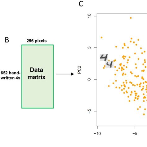 Pdf Principal Component Analysis