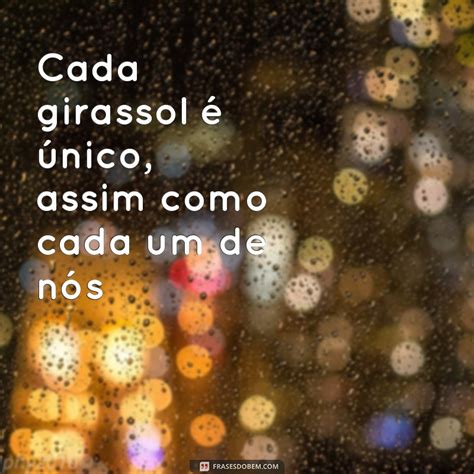 Descubra As Mais Belas Frases Inspiradas No Tema Girassol Para Iluminar