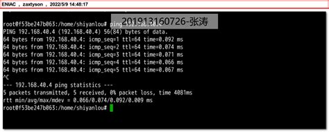 linux 系统搭建及配置 dns 服务器 蓝桥云课