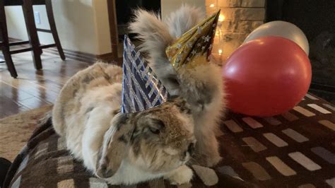 Birthday Babes R Rabbits