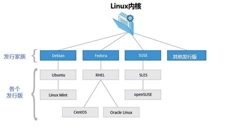 Linux与bash 编程——linux文件处理命令 L1 Csdn博客