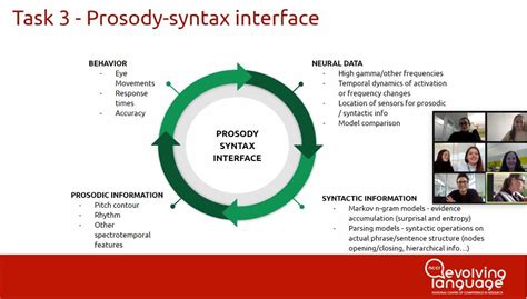 Brain Language Lab Cracking The Brain Functional Structural Bases Of Auditory Encoding