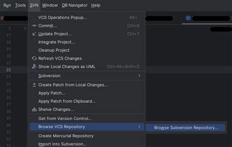 Svn Setting Devsu