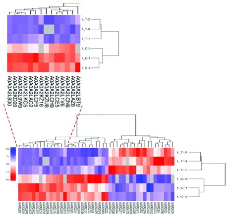 Hierarchical Cluster Analysis Was Conducted For All The Deps I T Was Download Scientific