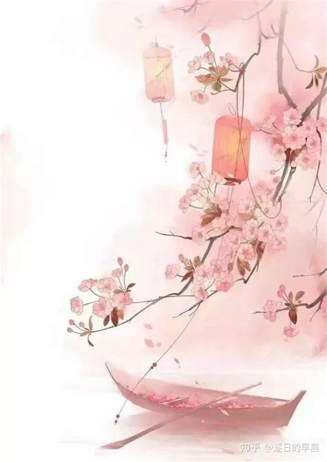 春末浅夏临窗而读 知乎
