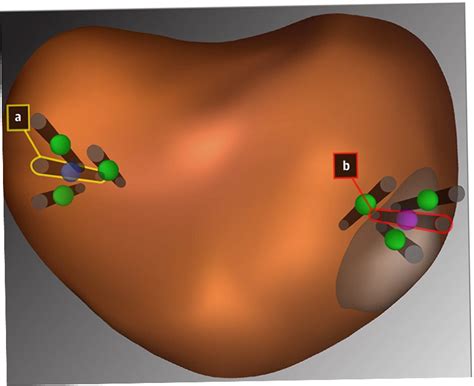 Quais São Os Tipos De Biópsia De Próstata Dr Pedro Henrique Cabral