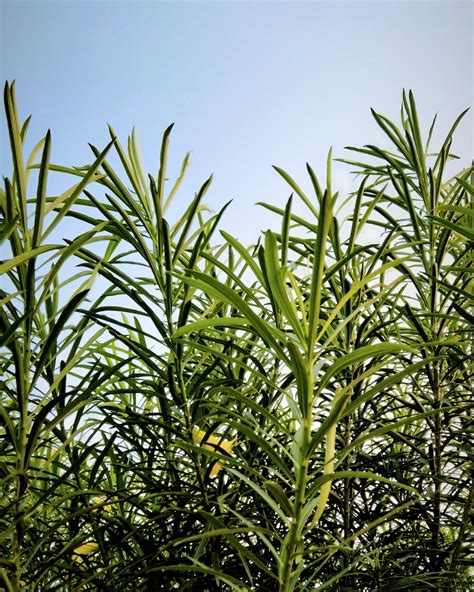 Sahil Shelke 📷 Capture By Sahil • Instagram Photos And Videos