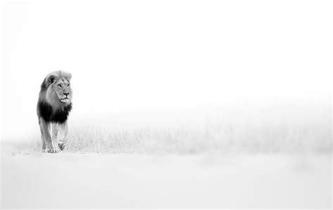 Destiny Chris Fallows