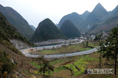 【特别报道】麻山焕新颜 乡村产业兴 ——紫云自治县大营镇巩固拓展脱贫攻坚成果同乡村振兴有效衔接掠影 紫云自治县 安顺新闻网