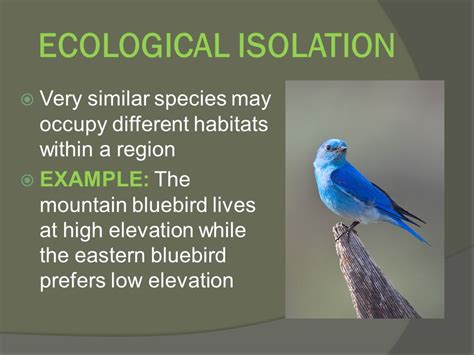 Ecological Isolation