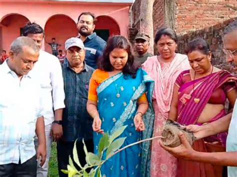 On The Occasion Of Van Mahotsav Bhagalpur Municipal Corporation Mayor