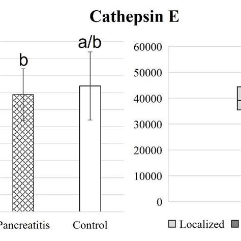 Bar Graphs Showing Means And Standard Deviations On The Left And Box Download Scientific