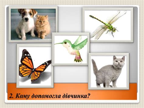 Добро і зло в повісті казці Галини Малик «Незвичайні пригоди Алі в країні Недоладії