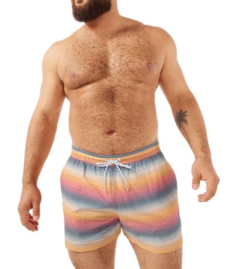 Chubbies Malibu Sunset 4 Inseam Classic Swim Trunks Dillards