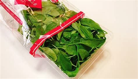 破格かも！コストコベビーほうれん草は使い道が広くて子供も食べやすい 最底辺の歩き方
