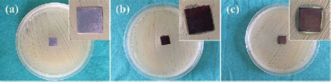 Figure 8 From Enhanced Antibacterial Properties Of Biocompatible