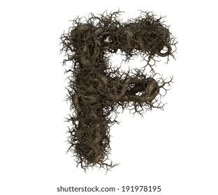 970 Tree Root Font Images Stock Photos Vectors Shutterstock