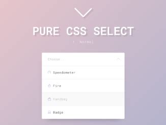 Custom Select Dropdown Using Html Radio Input Codehim
