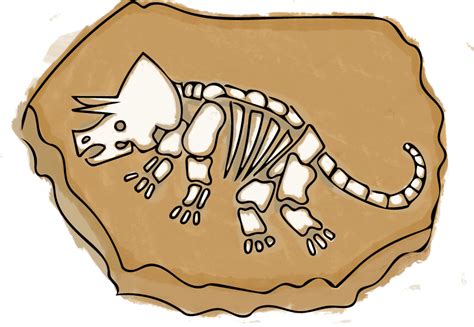 Download Triceratops Fossil Illustration