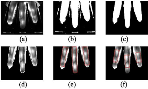 Figure 3 From Enhancing Multi Finger Vein Recognition Based On Multi