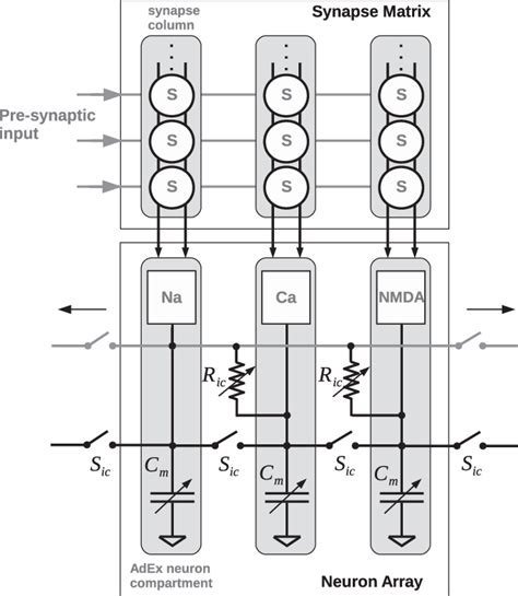 Figure 1 From A Mixed Signal Structured Adex Neuron For Accelerated