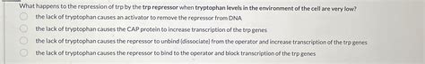 Solved What Happens To The Repression Of Trp By The Trp