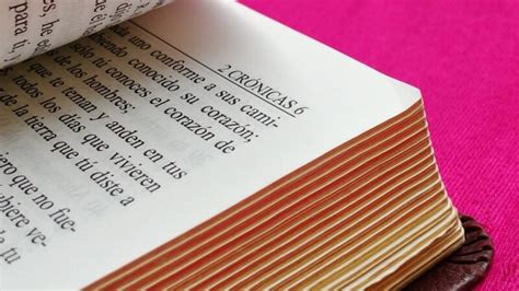 Como Escrever Uma Reportagem Escritora De Sucesso