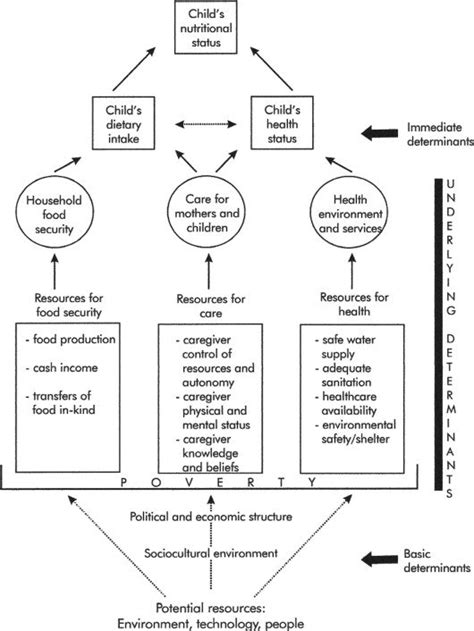 Conceptual Framework Guiding Empirical Analysis Download Scientific