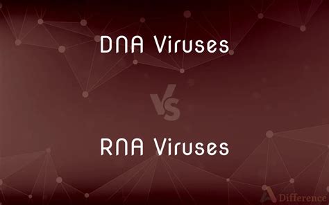 Dna Viruses Vs Rna Viruses — Whats The Difference