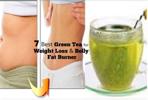 7 Best Green Tea For Weight Loss And Belly Fat Burner Zerofatfitness