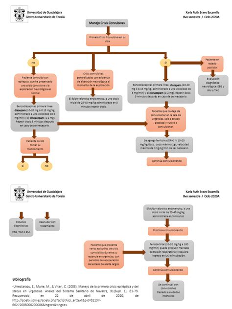 Algoritmo Manejo De Crisis Convulsivas Pdf Epilepsia Benzodiazepinas