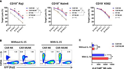 Frontiers Cytokines Induced Memory Like Nk Cells Engineered To