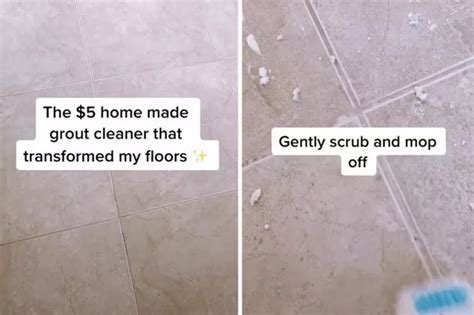 Naked Cleaners Expose Seedy Truth Behind Industry People Ask For