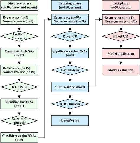 Workflow Of The Study Download Scientific Diagram