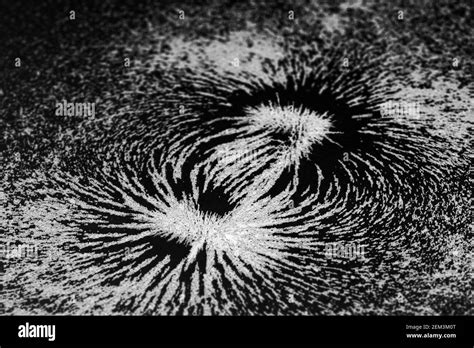 Bar Magnet And Field Lines Hi Res Stock Photography And Images Alamy