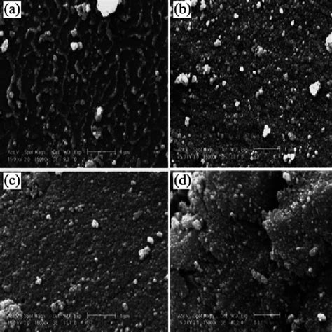 SEM Images Of TiO A Pure B W Doped C W Doped And D Download Scientific